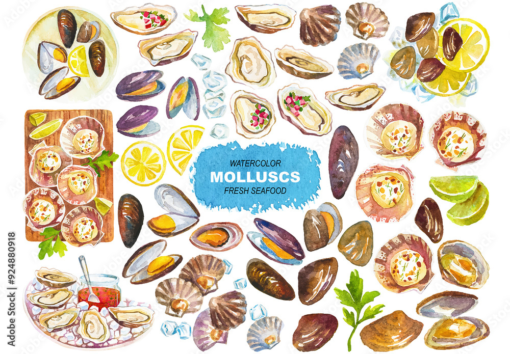 Vector watercolor painted mollusks clipart. Hand drawn elements ...