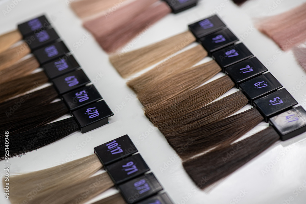Set of hair samples with different natural color shade. Close-up of ...