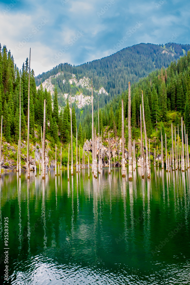 Sunken forest of Lake Kaindy in Kazakhstan. Beautiful mountain natural ...