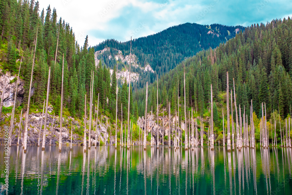 Sunken forest of Lake Kaindy in Kazakhstan. Beautiful mountain natural ...