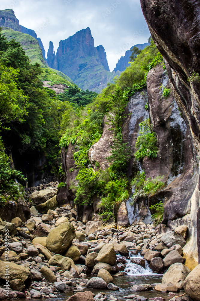 Looking down a small narrow ravine in the Drakensberg Mountains, with ...