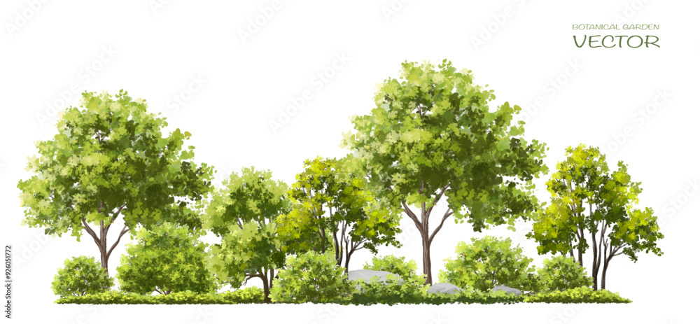 Vector watercolor green tree or forest side view isolated on white ...