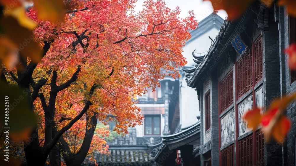 Trees with vivid colors standing tall in the historic center of ...