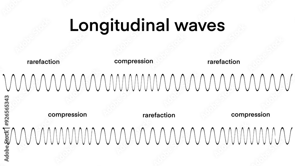 Amplitude, Period, Frequency, and Variable Wavelengths, Transverse wave ...