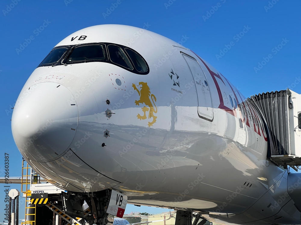Ethiopian Airlines Airbus A350-900 XWB Aircraft Nose and Cockpit ...