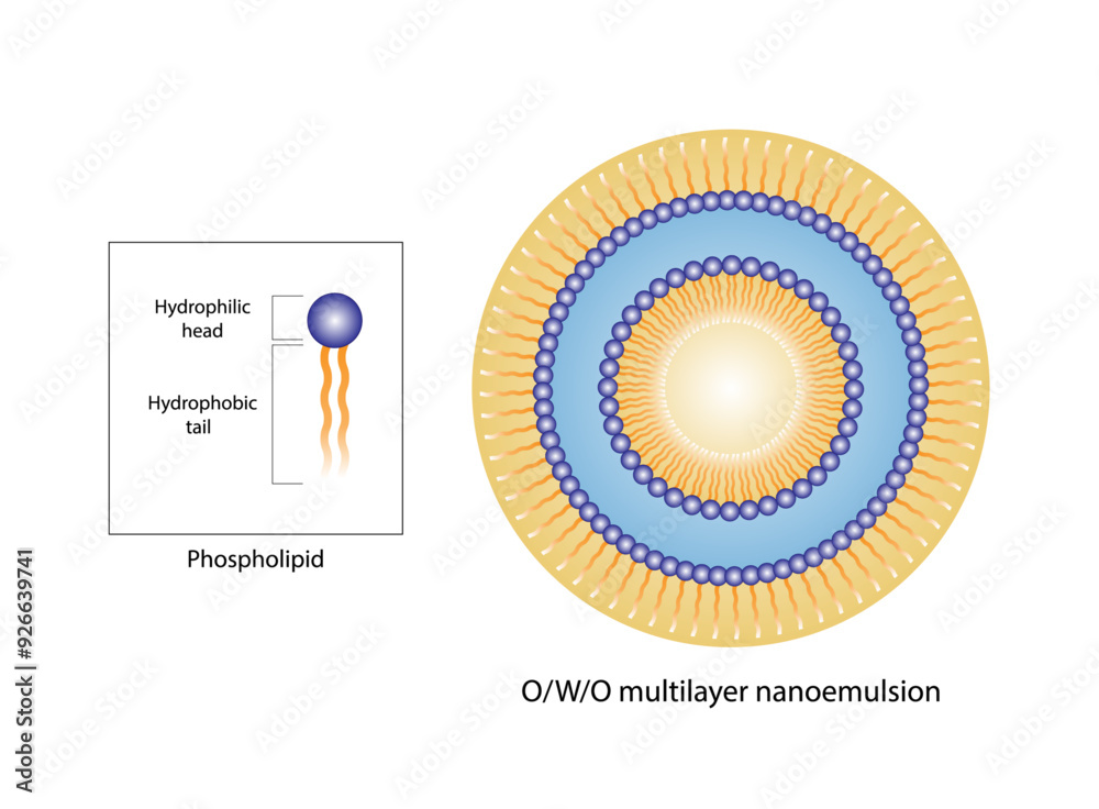 Multilayer nanoemulsion, a mixture of two immiscible liquids. Water and ...