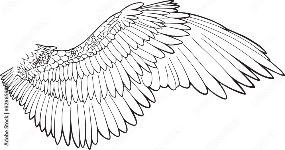 Set Png Linear outline drawing angel wings hand drawn clip art element ...