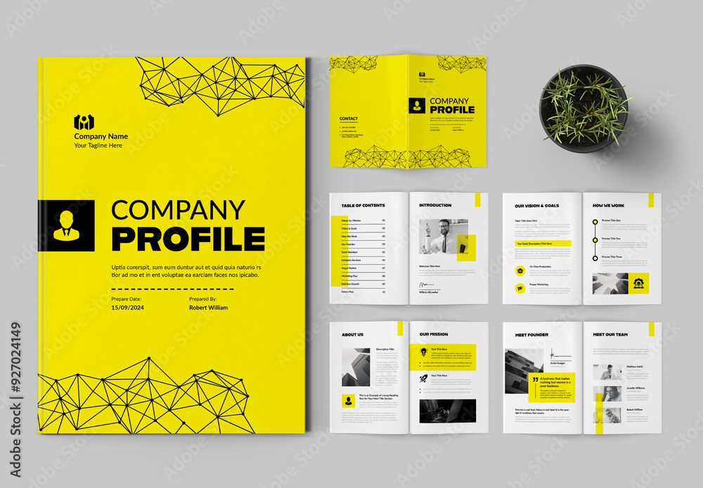 Company Profile Template Stock Template | Adobe Stock