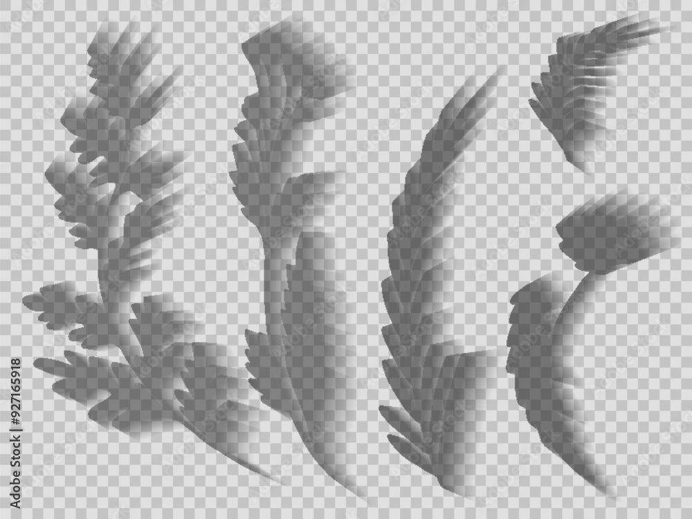 Collection of clipart twig with leaves shadow overlay effect. Vector ...