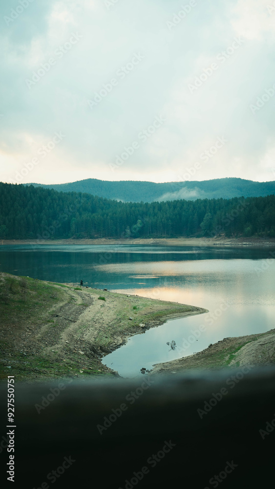 Mañana fria en el lago con bruma que sale detras de los arboles y ...