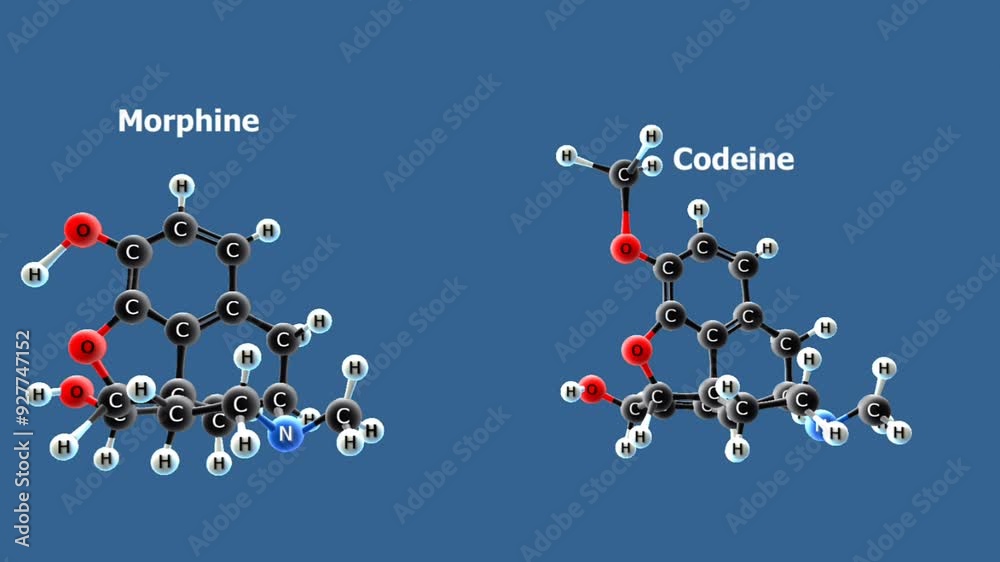 Morphine and codeine structural formula 素材庫影片 | Adobe Stock