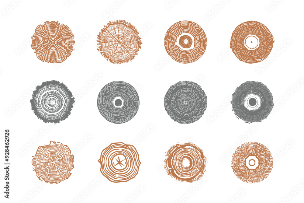 Forest tree rings, natural sawn and trunk cross section. Wooden circle ...