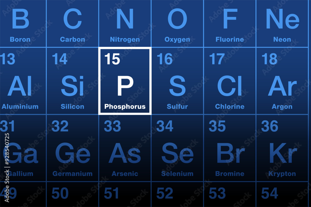 Phosphorus element on the periodic table. Chemical element with symbol ...