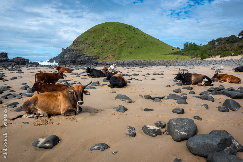 Transkei in the Eastern Cape of South Africa, you see Xhosa beach ...