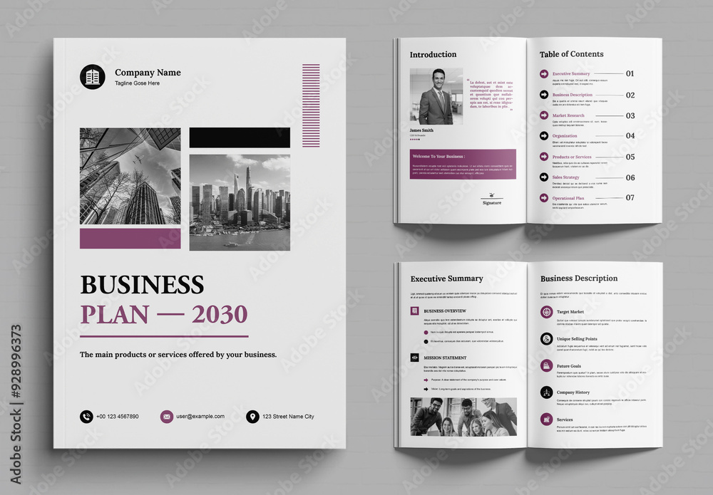 Business Plan Brochure Layout Stock Template | Adobe Stock