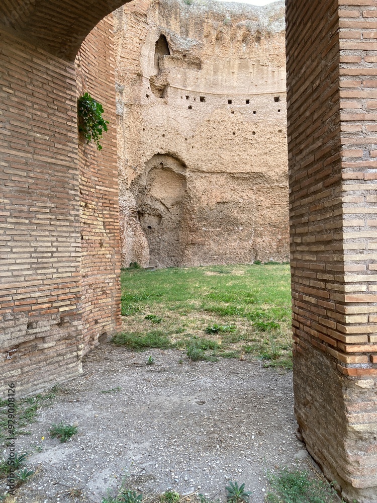 Admire the intricate tiles of the Baths of Caracalla in Rome ...
