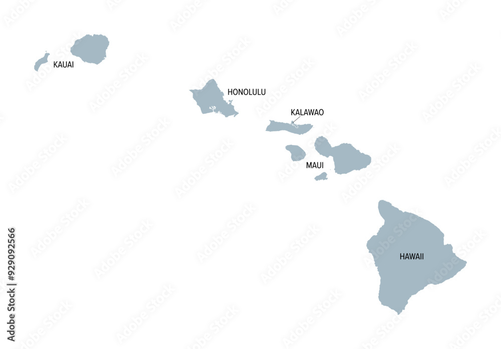 Hawaii, U.S. state, gray political map with county names. Island state ...