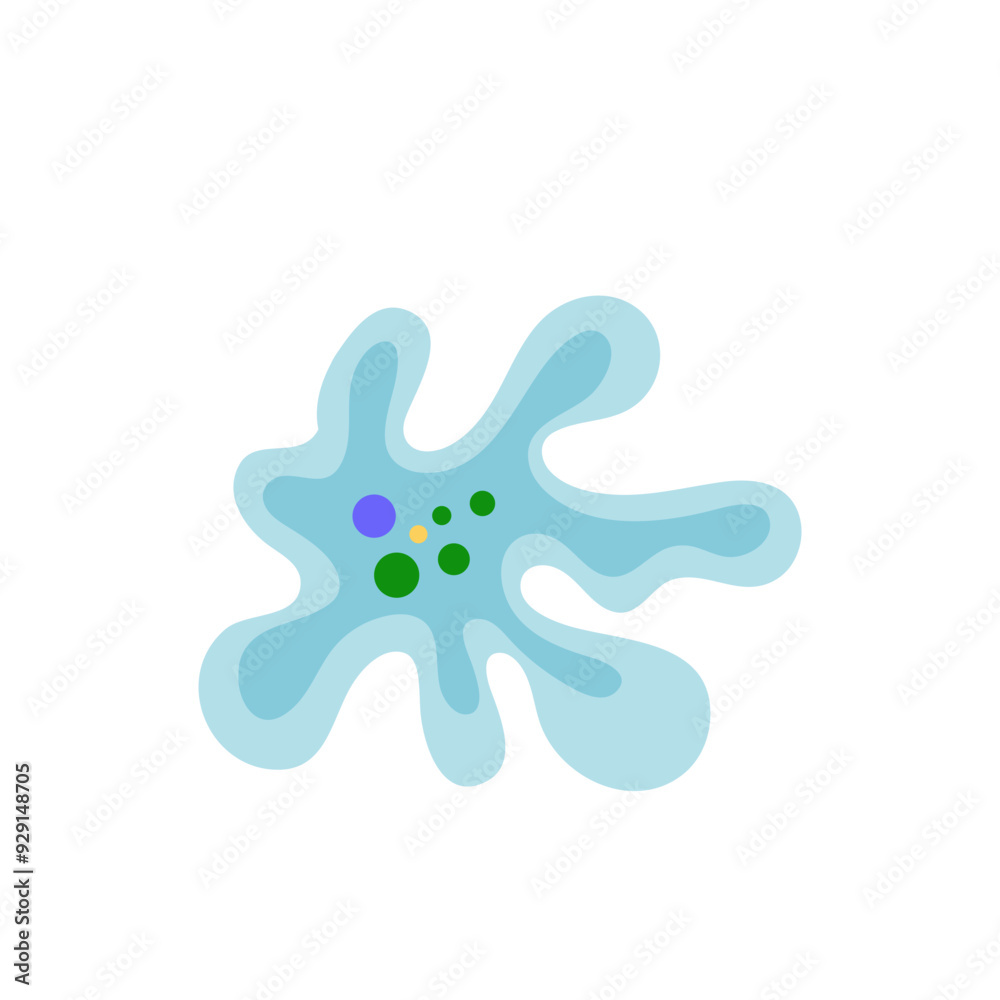 Binary fission in amoeba. Vector educational illustration. Reproduction ...