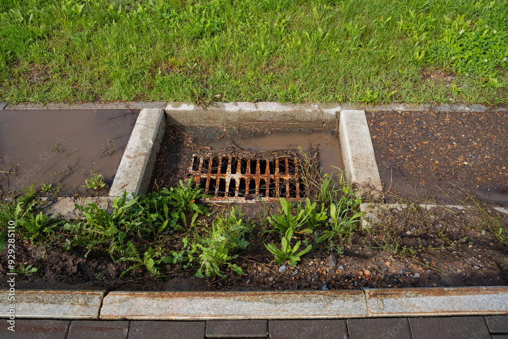 Drainage System A Stormwater Drain Featuring a Grate and Surrounded by ...