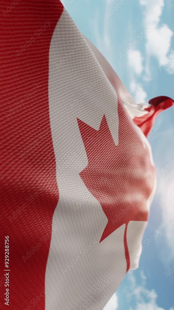 Wavy flag of Canada blowing in the wind in slow motion. Waving colorful ...