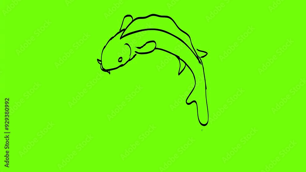 2d Animation cartoon character of a koi or nishikigoi carp fish ...