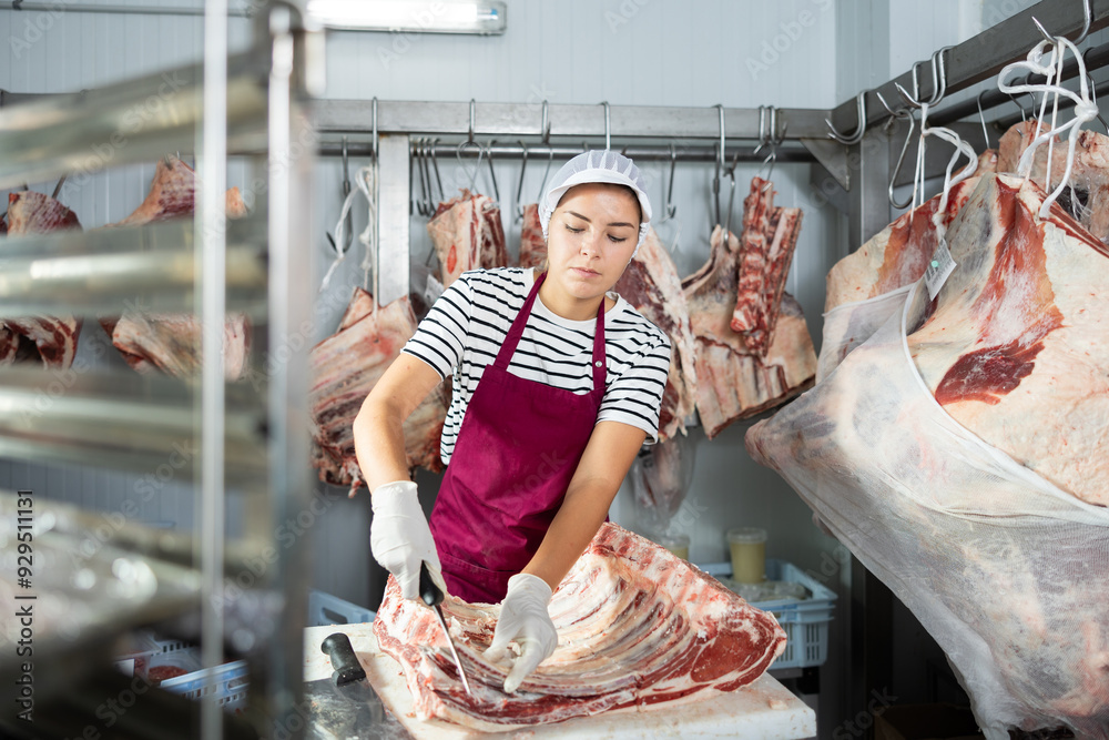 Female employee of local butcher shop divides large huge piece of meat ...