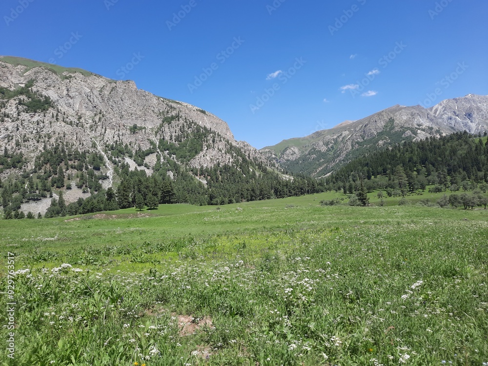 Majestic natural beauty of Gilgit-Baltistan in Pakistan. Gilgit ...