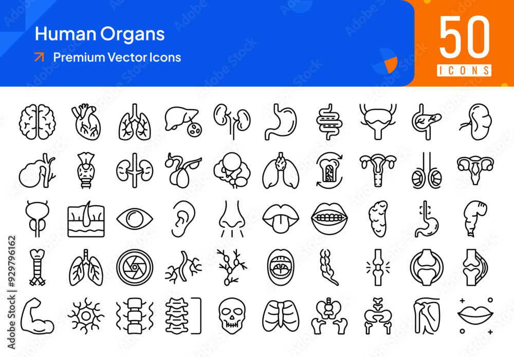 Poster Human Organs icons set, brain, heart, lungs, liver, kidneys ...