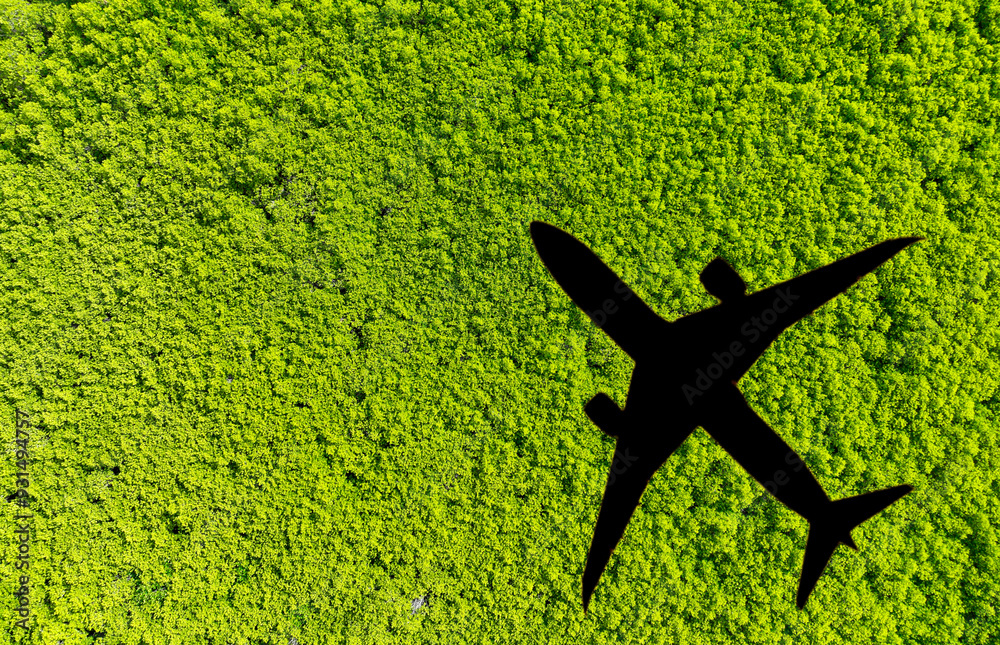 Shadow airplane flying above green mangrove forest. Sustainable fuel ...