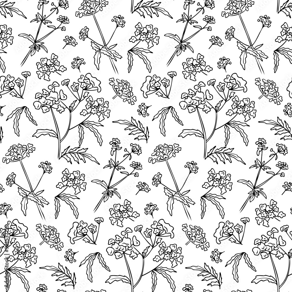 Floral black and white seamless pattern with doodle ground elder ...