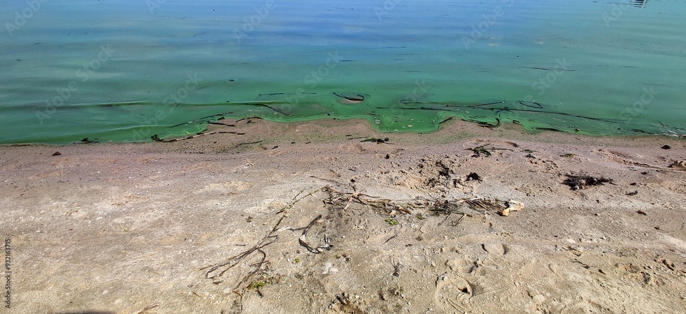 Water pollution by blooming blue green algae - is world environmental ...