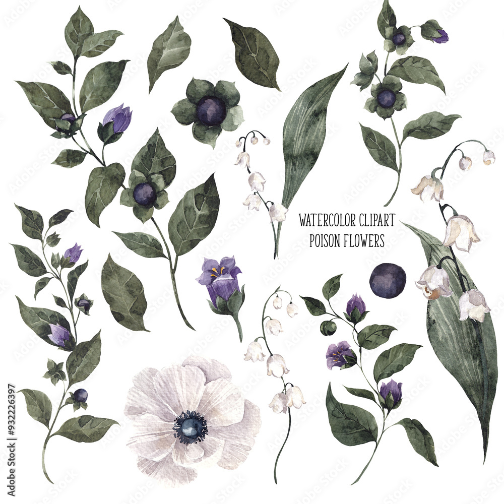 Watercolor clipart with hand draw poison floral, belladonna, mandrake ...