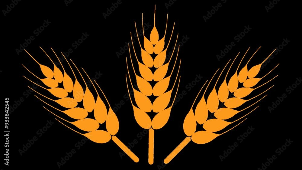Animated wheat ears. The animation is isolated on a transparent ...