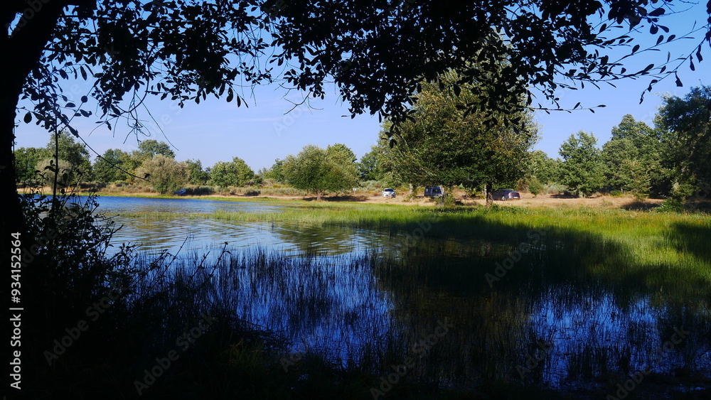 Baignade dans un bel lac bleu limpide et transparent, dans la nature ...