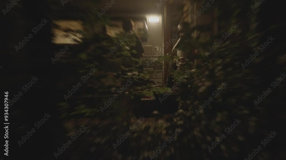 Enigmatic and Mysterious Figures Lurking in the Dark Forest Surrounding ...