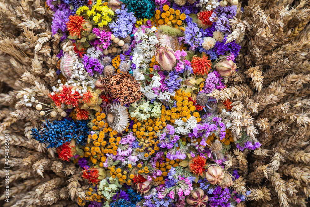 Dried helichrysum and herbs mix of colors (hypsispermum, immortelle ...