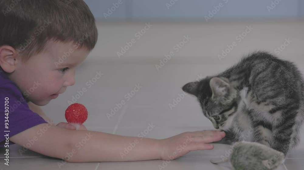 Boy on floor playing with cat showcasing playful bond and carefree ...