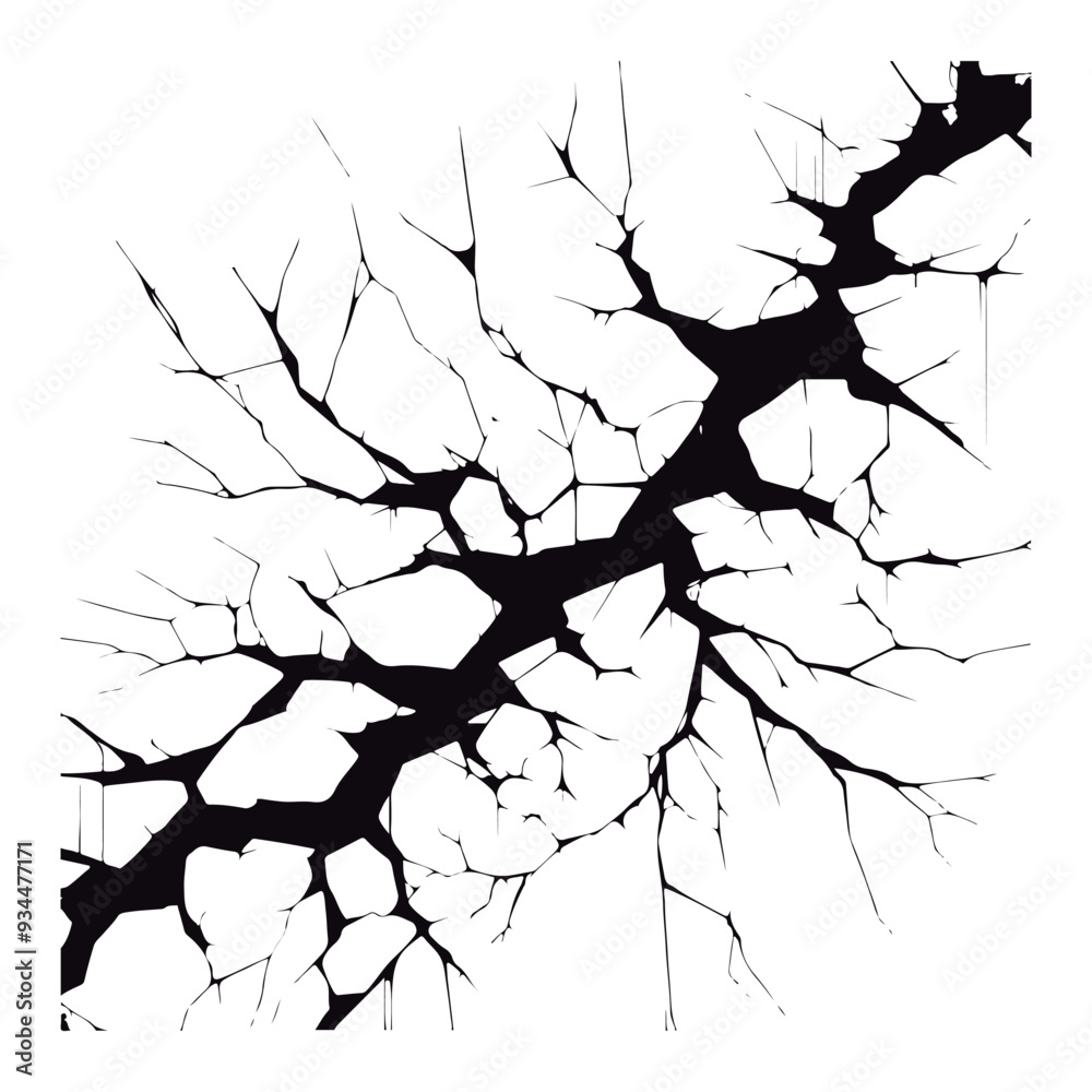 Fissures in the ground, fractures in the wall, or split lines in the ...