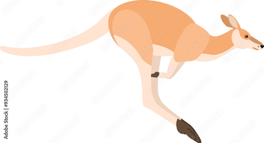 Jumping kangaroo isolated on white background. Portrait of wild ...