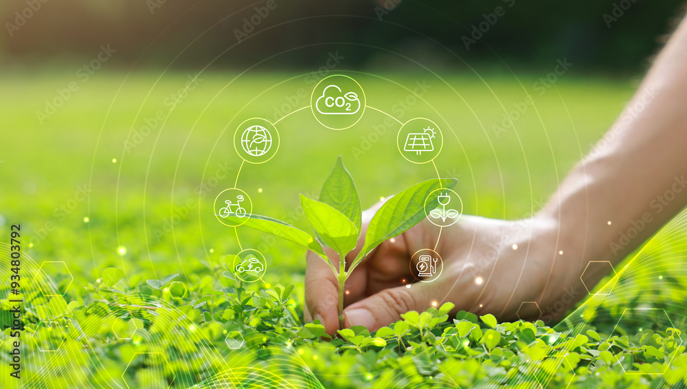 Hand holding with tree for co2, ESG and net zero. energy saving concept ...
