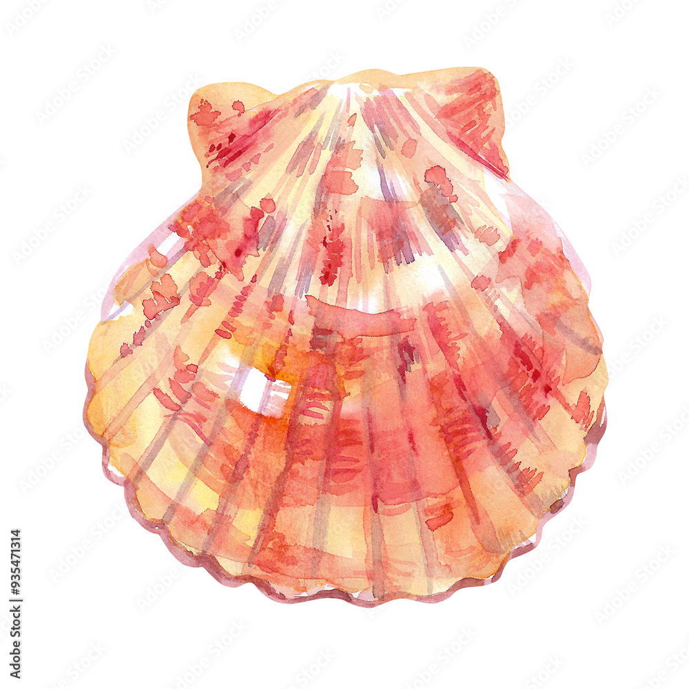 Scallop, bivalve marine mollusk, grooved shell in watercolor. Red ...