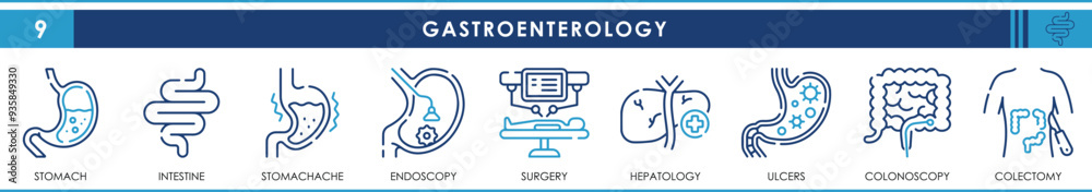 A set of line icons related to Gastroenterology. Stomach, intestine ...