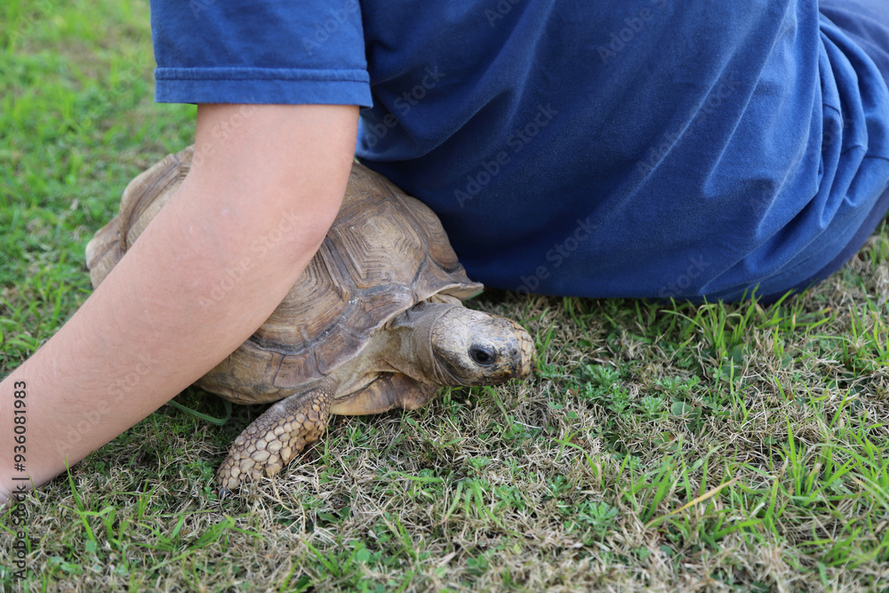 Child playing in the garden with his turtle. Kid with his animal ...