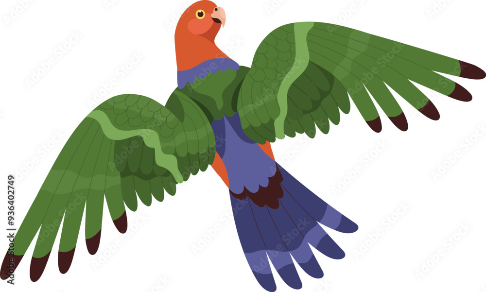 Australian King parrot flying with spread wings. Tropical bird with ...