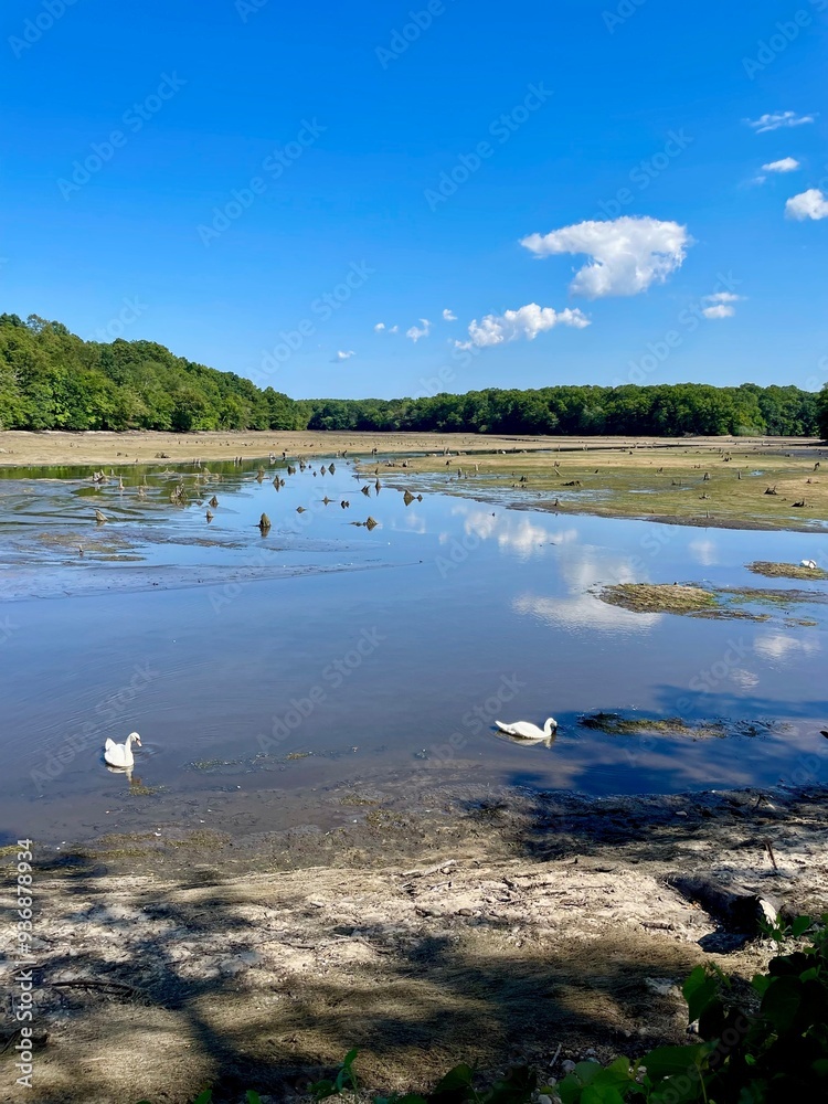 Smithtown, NY, USA - August 21, 2024. Stump Pond, Blydenburgh Park ...