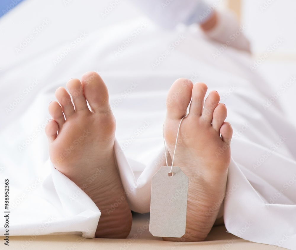 Police coroner examining dead body corpse in morgue Stock Photo | Adobe ...