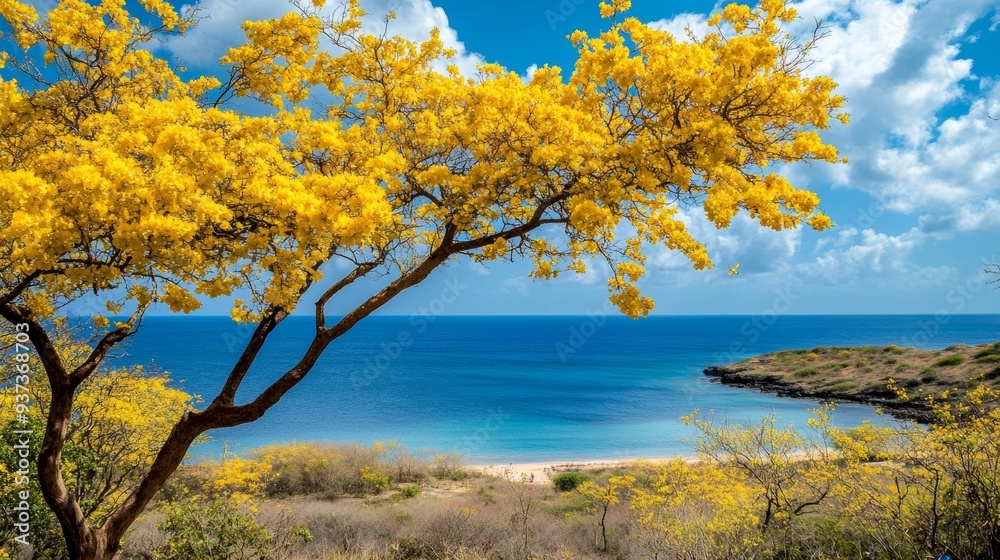 Yellow Brasil trees bloom in Curacao. Stock Photo | Adobe Stock