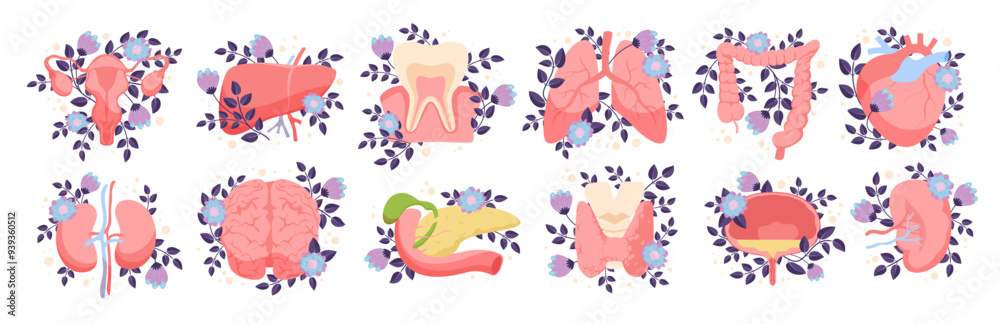 Human anatomy with blooming flowers set. Structure of internal organs ...