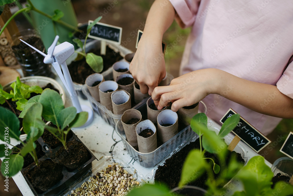 Students growing vegetable and herb seedlings. Outdoor sustainable ...