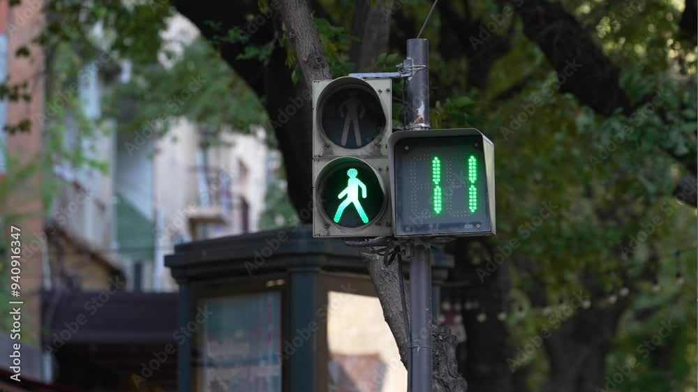 traffic light in the city. Traffic lights, traffic signs. Pedestrian ...